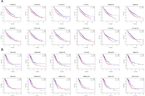 Prognostic Role Of Genes Identified By Scrna Seq In Tcga Lung