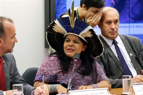 Ipam Amazônia Sônia Guajajara E Povos Indígenas Têm Retomada Com