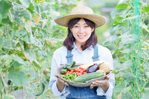 農業を始めるなら絶対に押さえておきたいビニールハウス栽培の魅力儲かる野菜ベスト5も みんなで農家さん