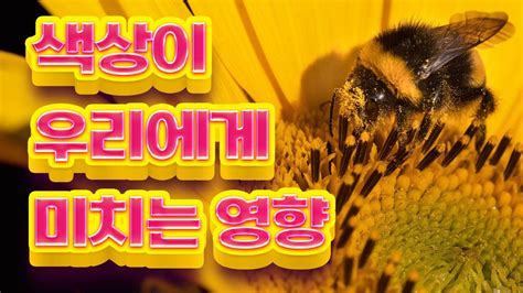 색상이 우리에게 미치는 영향 Youtube