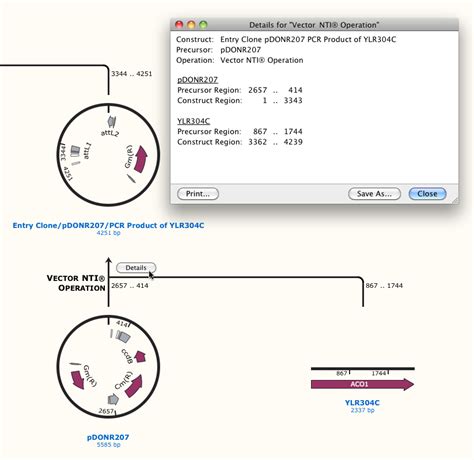 Convert Vector Nti® Files To Snapgene Dna Format Snapgene