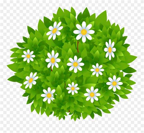 Cartoon Bush Png 20 Free Cliparts Download Images On Clipground 2024