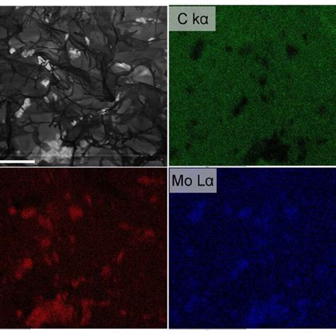 Sem Images And Edx Chemical Map Of The 5 Mgml Mose2prgoam Edx