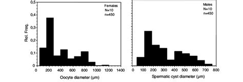 Relative Size Frequency Distribution Of Sexual Products For Males Download Scientific Diagram