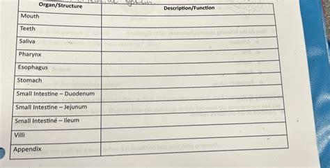 Solved Organstructure Descriptionfunction Biology