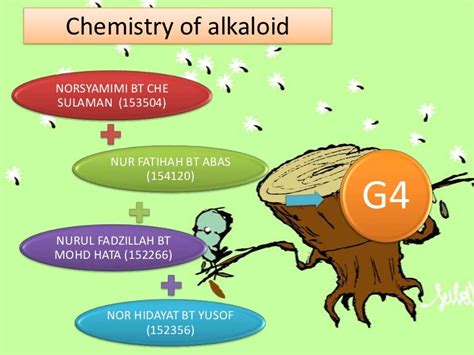 Chemistry Of Alkaloid