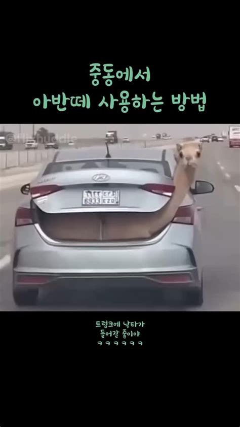 키윽 유머 웃짤 웃김 웃음 웃긴짤 웃스타그램 웃긴영상 고전 유머짤 유머스타그램 유머저장소 센스 예능 예능레전드 예능연구소 예능추천 예수님