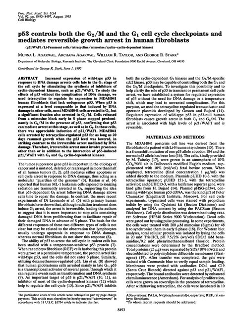 p53 controls both the g2 m and the g1 cell cycle checkpoints and