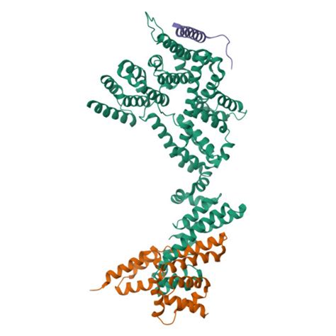 Rcsb Pdb 8jj6 Structure Of The Nelf Bce Complex