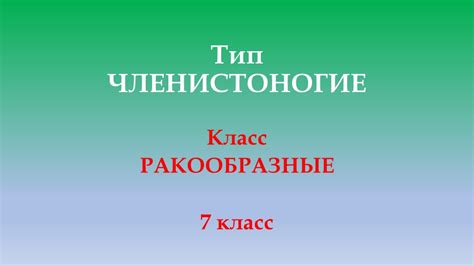Презентация по биологии 7 класс на тему Тип Членистоногие Класс
