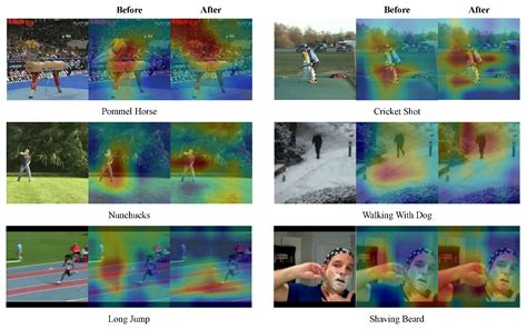 Multi Scale Receptive Fields Convolutional Network For Action Recognition