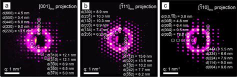 Representative Saxs Patterns From Different Projections Obtained From
