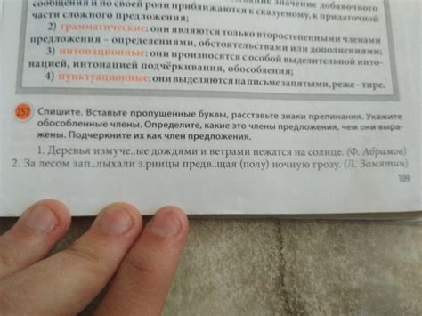 спишите Вставьте пропущенные буквы расставьте знаки препинания Укажите обособленные члены