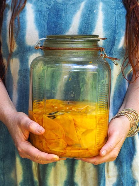 Dyeing Sunshine Natural Dye With Coreopsis Flowers Petalplum