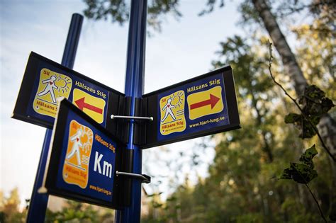Sex viktiga träningsprinciper som bör guida din träning Idrottsforskning se