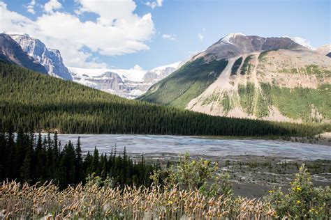 캐나다 벤프 캐나다 록키 두피디아 여행기