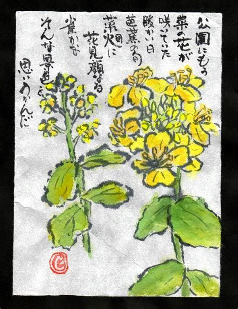菜の花 絵手紙 241244 菜の花 絵手紙 Jpdiamukpictnrg1