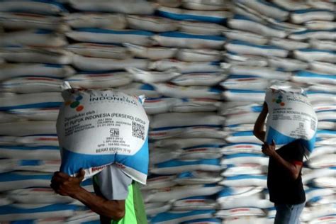 Petani Di Ngawi Mudah Tebus Pupuk Subsidi Dengan I Pubers Jatimpedia
