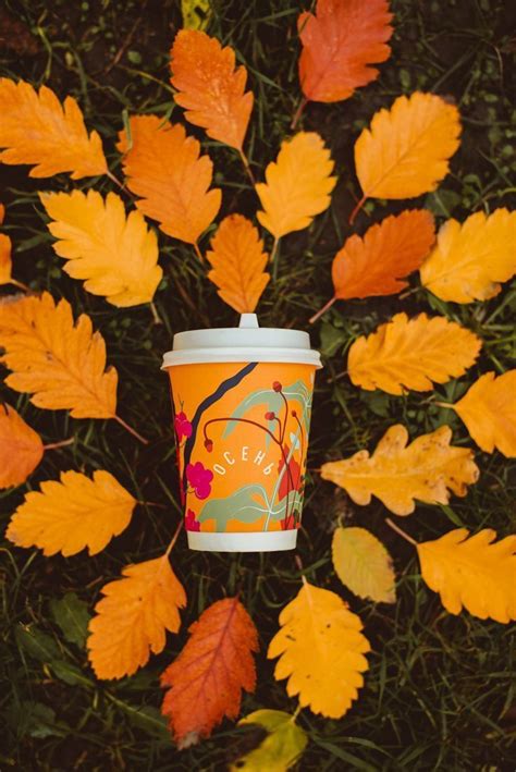 Пин от пользователя Natali 🍁 на доске ОсЕнЬ 🍂🍁🍂 Осенние фотографии