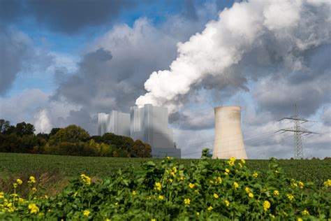 Carbon Management Excellence With Carbonology