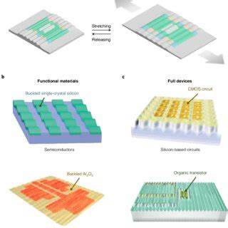 Schematic Representations Of Transistor Structures And The Transfer Download Scientific