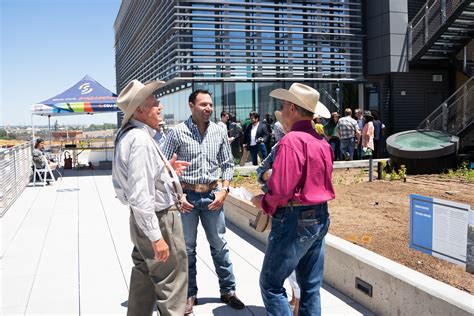 Monica Lear Learsylvania Twitter