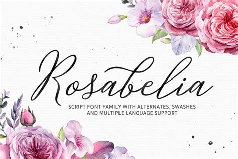 Rosabelia Script Sans Serif 48640