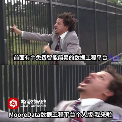 前面有个免费智能简易的数据工程平台mooredata数据工程平台个人版 我来啦 网友制作的meme梗图