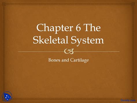 The Skeletal System Biology Lecture Slides Docsity