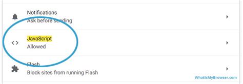 How To Enable Javascript In Google Chrome Rubika Digital Agency