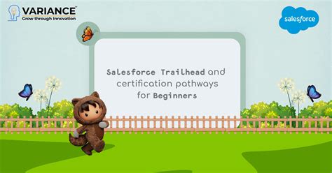 Salesforce Trailhead Certification Pathway Og Vipl Insights