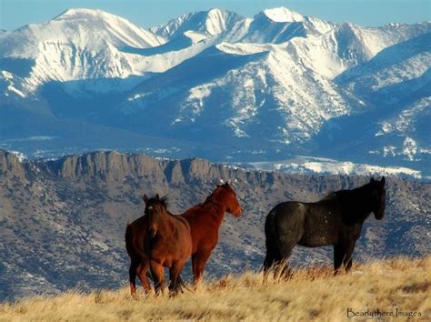 Montana Skies Armed Forces Natural Landmarks
