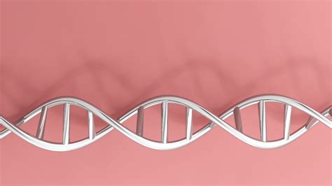 Genetic Tests That Show A Predisposition For Infertility GENEWAY DNA