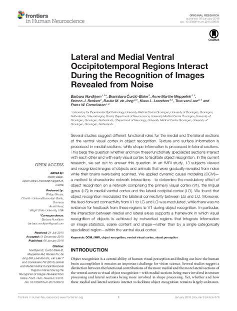 Pdf Lateral And Medial Ventral Occipitotemporal Regions Interact During The Recognition Of