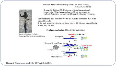Recent Progress To Explore The Mechanism Of Direct Internalization Of