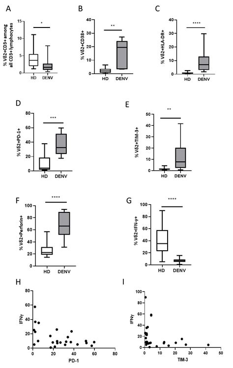 Phenotypic And Functionality Characteristics Of γδ T Cells Frequency