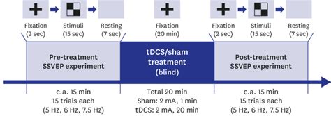 Schematic Overview Of The Experimental Paradigm Tdcs Transcranial