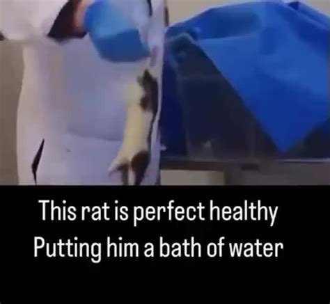 Hari Krishna Reddy Thummuru On Linkedin Sami