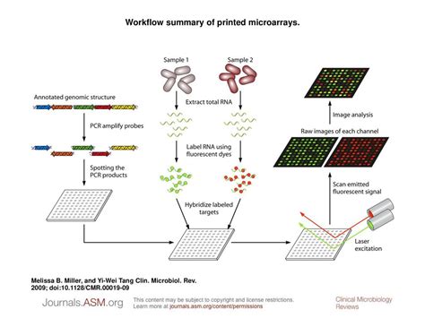 workflow summary of printed microarrays ppt download