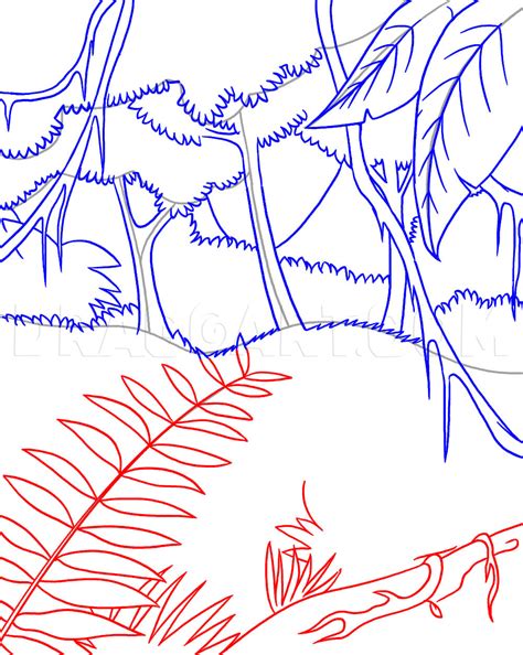 How To Draw A Rainforest Drawing Step By Step By Dawn Dragoart