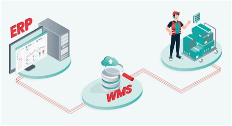 Wms 360° La Guía Definitiva Sobre Los Sistemas De Gestión De Almacenes