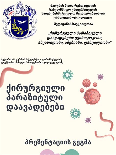 ლიზი მიქელაძე Pdf