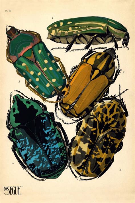 A Hymn To Nature In Beautiful Illustrated Plates By Émile Allain Séguy