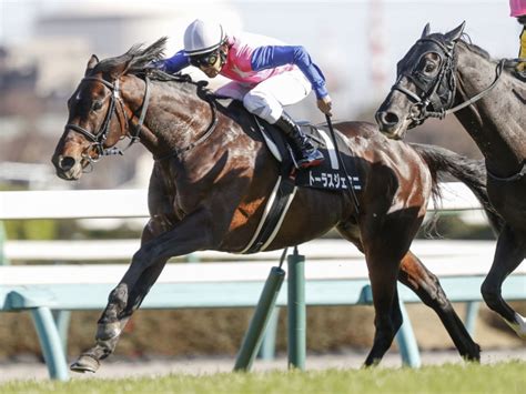 【函館記念枠順確定】レイエンダは1枠1番、トーラスジェミニは5枠10番 競馬ニュース Netkeiba