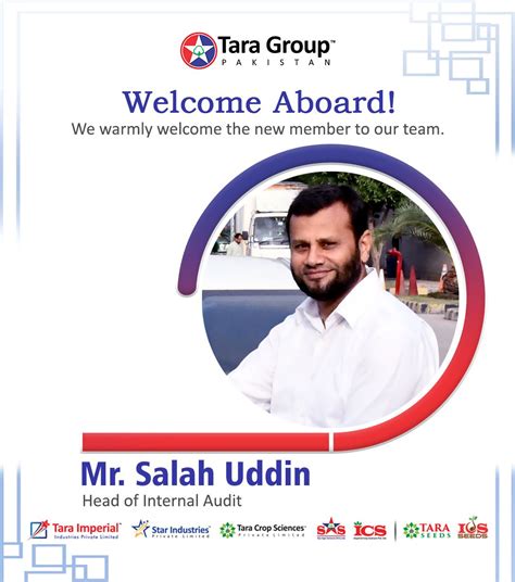 Tara Group Inc On Linkedin Team Audit Taragroup