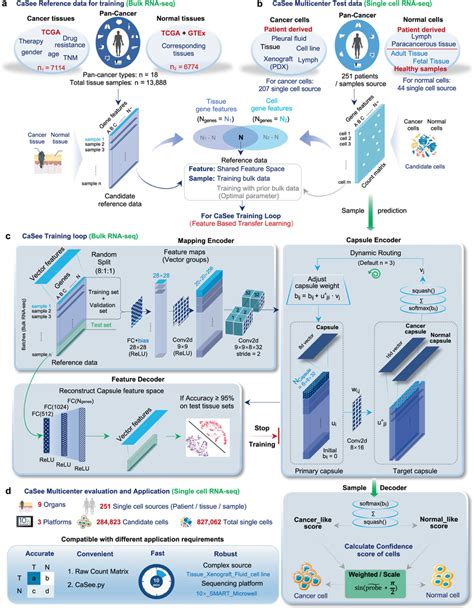 Introduction And Overview Of The Casee Model Workflow A Top Summary