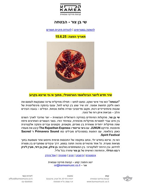 שי בן צור הבטחה