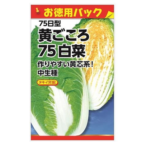 【楽天市場】白菜 【タキイ交配 黄ごころ75日白菜お徳用パック】 種・小袋 （2ml） F1（一代交配種）：苗木部 By 花ひろばオンライン