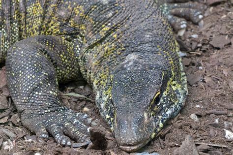 Bosque De Chapultepec On Twitter RT SEDEMA CDMX Ya Visitaste A