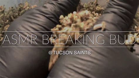 Asmr Breaking Bud Tucson Saints Dispensary Youtube